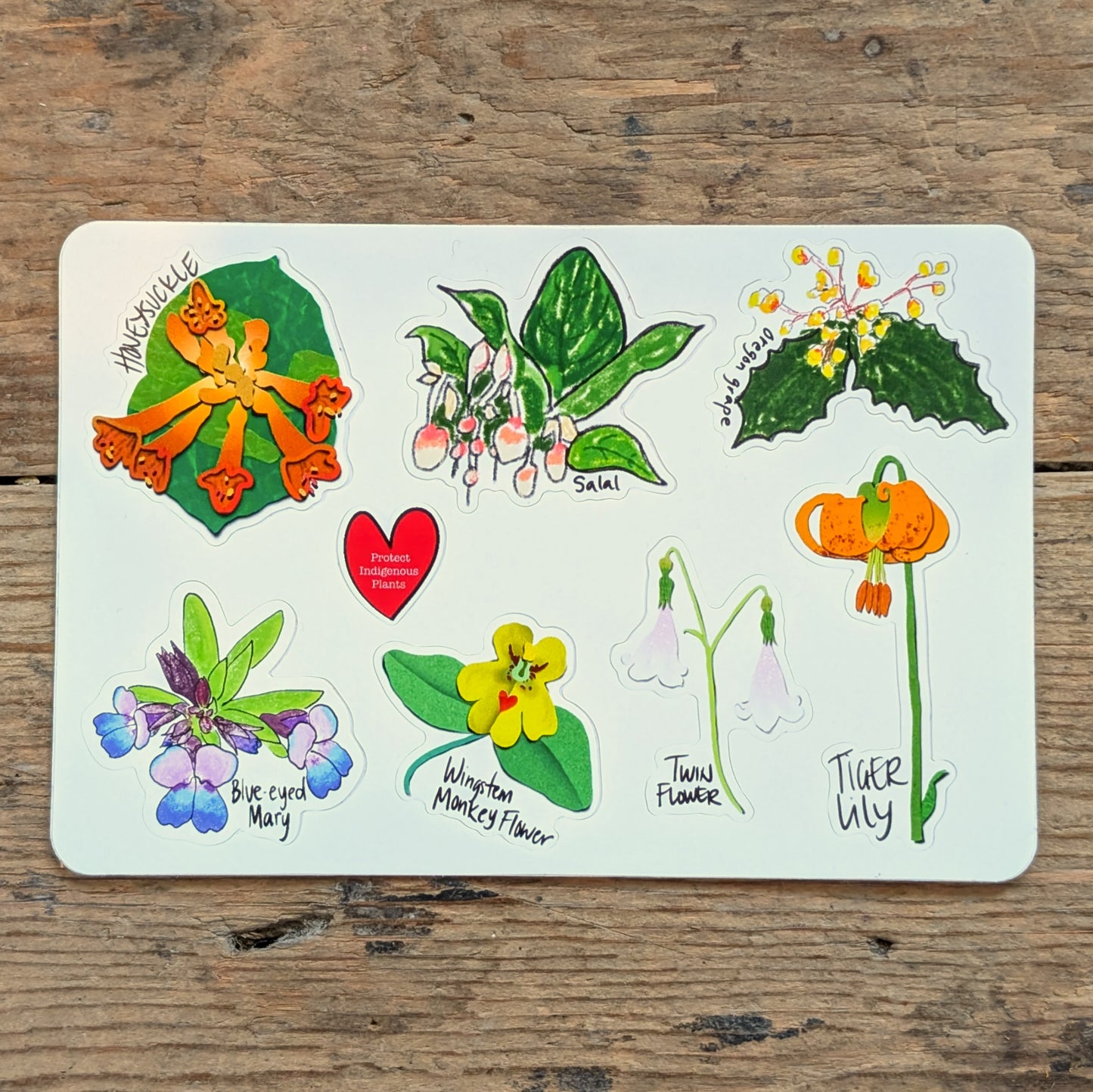 Sticker Sheet (honeysuckle and assorted) – Aunty Collective